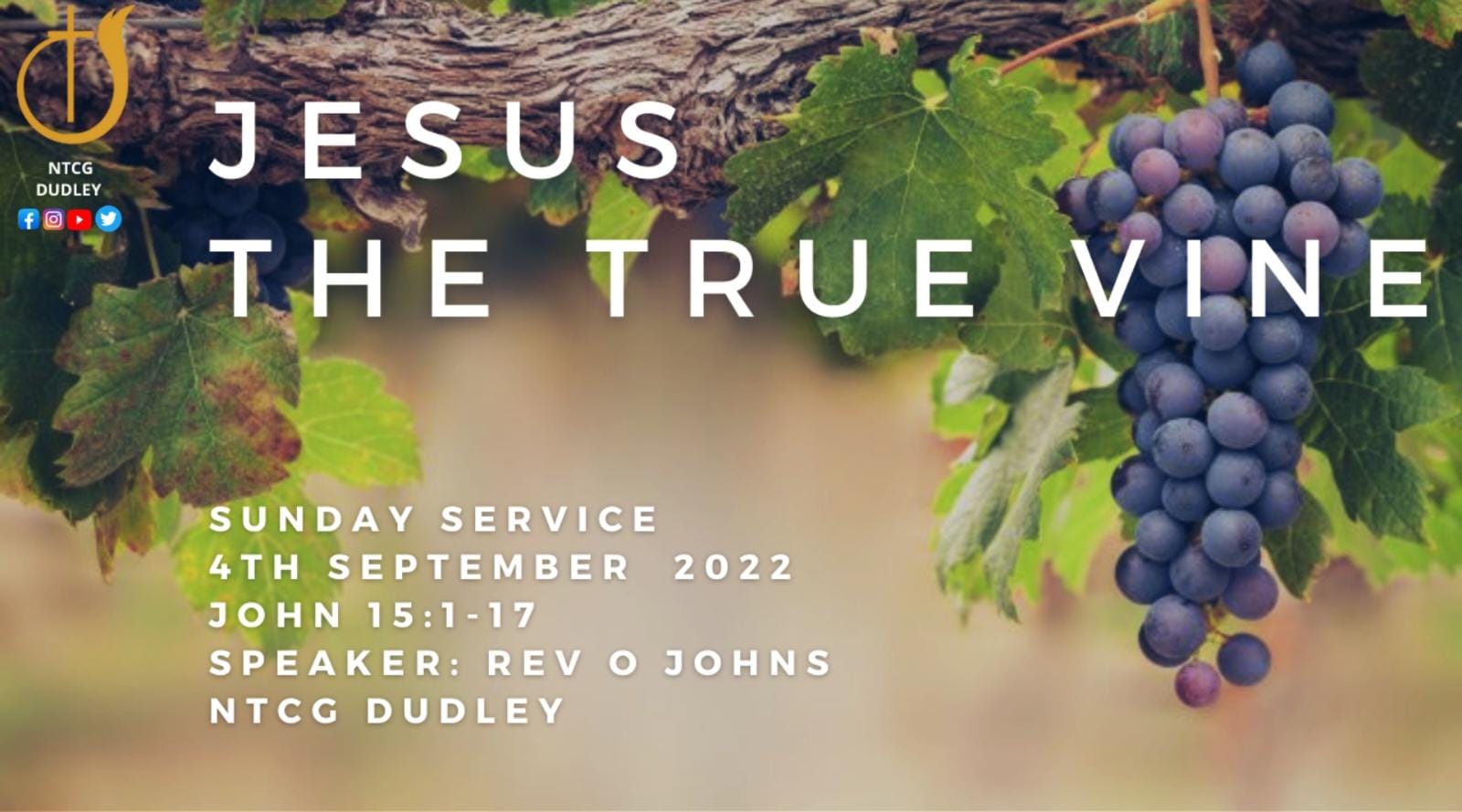Jesus The True Vine | NTCG Dudley
